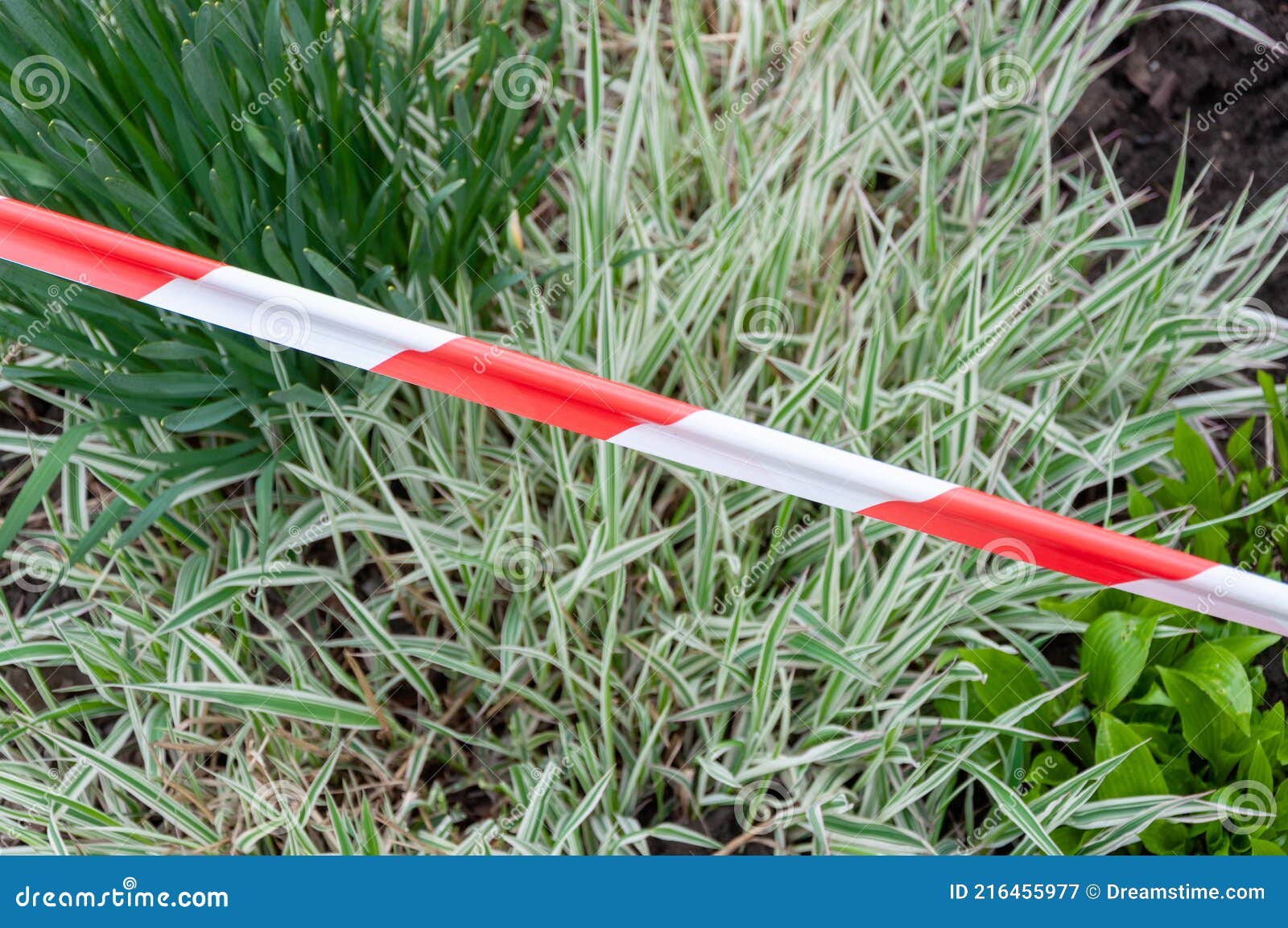 Do Not Cross Line Tape. Red and White Caution Line Stock Image - Image ...