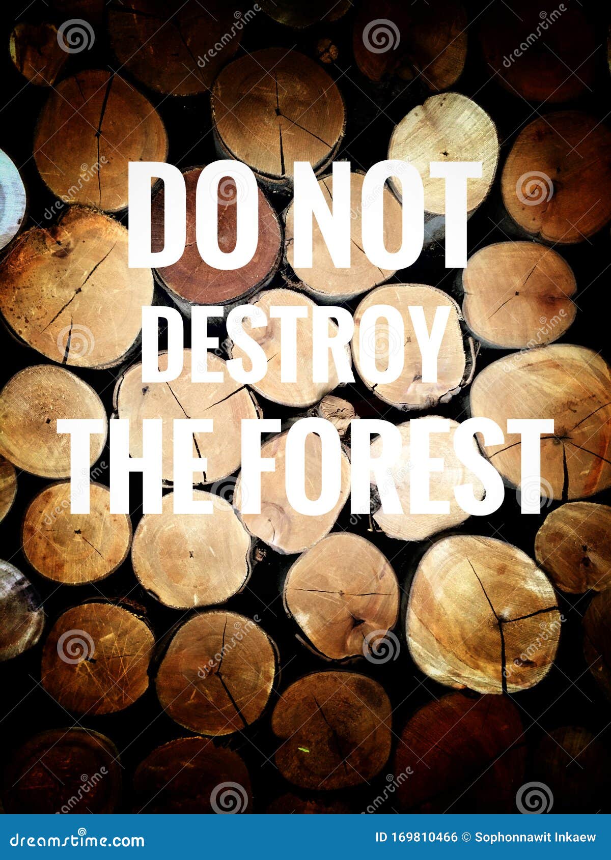 Do not destroy the forest stock photo. Image of local - 169810466