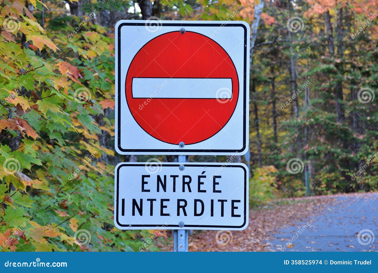 Do not enter road sign. stock photo. Image of prohibited - 358525974