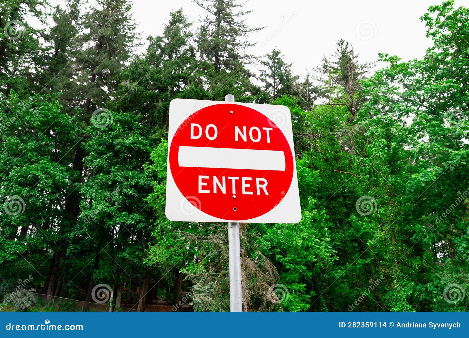 Do Not Enter Sign Restriction Amidst Forest Area Stock Photo - Image of ...