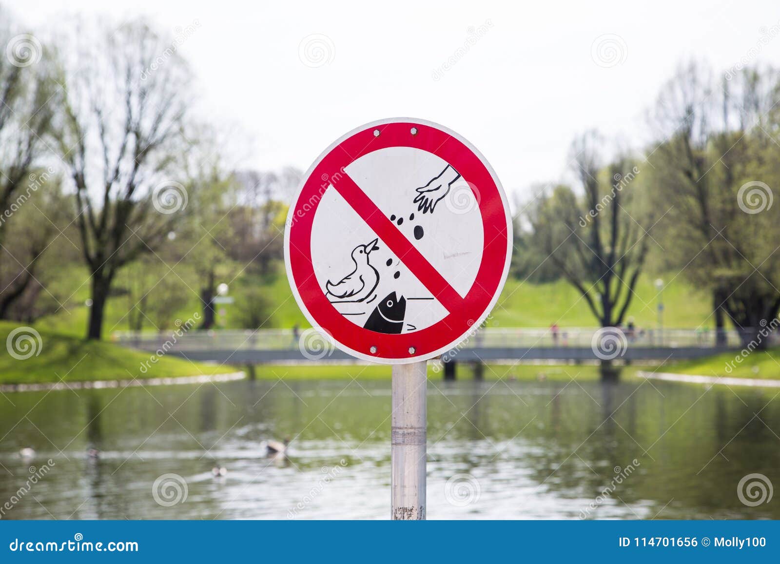 Do Not Feed Ducks Sign Royalty-Free Stock Image | CartoonDealer.com ...
