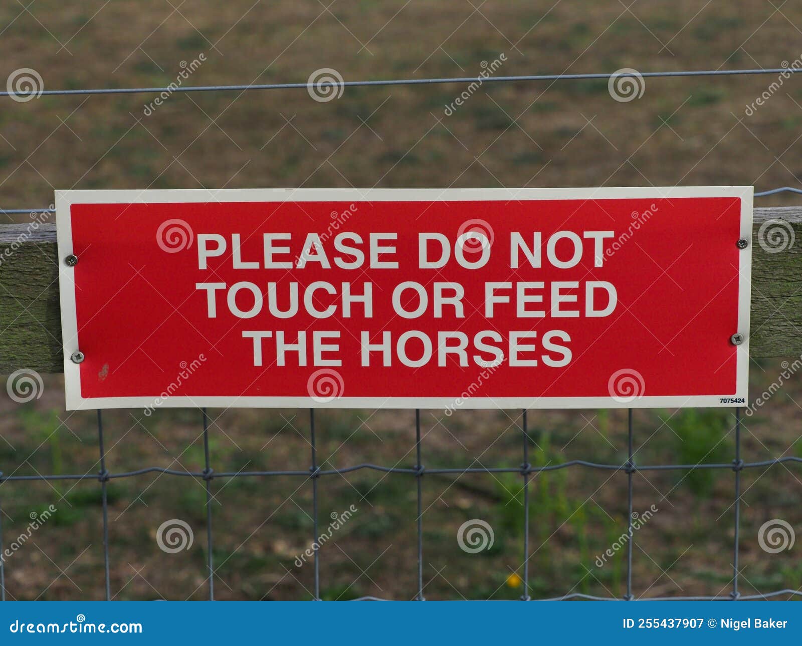 Do Not Feed Sign stock image. Image of fence, equine - 255437907