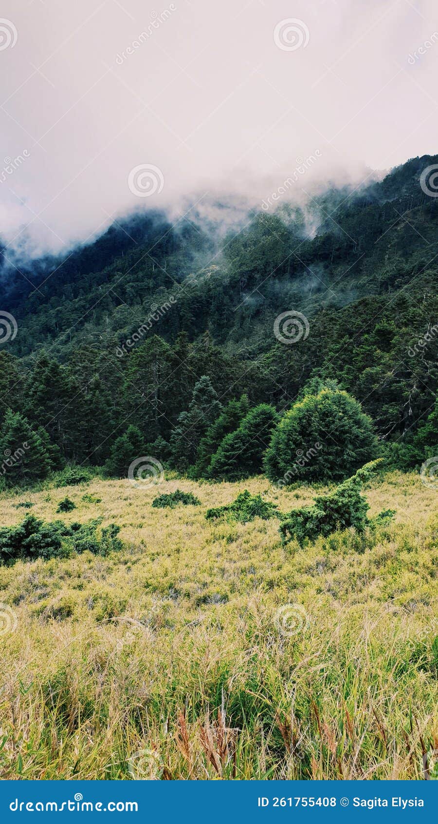 Cloudy Weather on the Mountain Stock Photo - Image of inside, cloudy ...