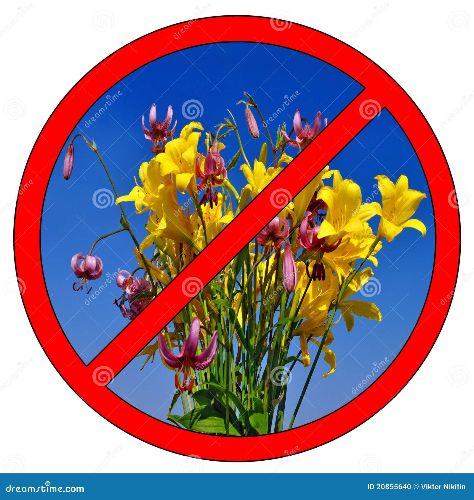 Do Not Pick The Flowers Sign Stock Photography | CartoonDealer.com ... Do Not Pick The Flowers Sign Stock Photography | CartoonDealer.com ...