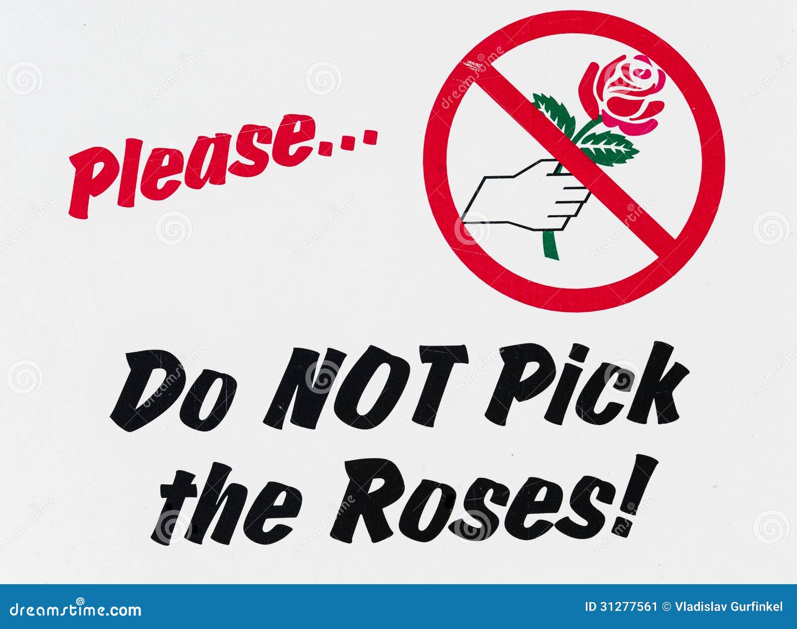 Do not pick the roses! stock image. Image of background - 31277561