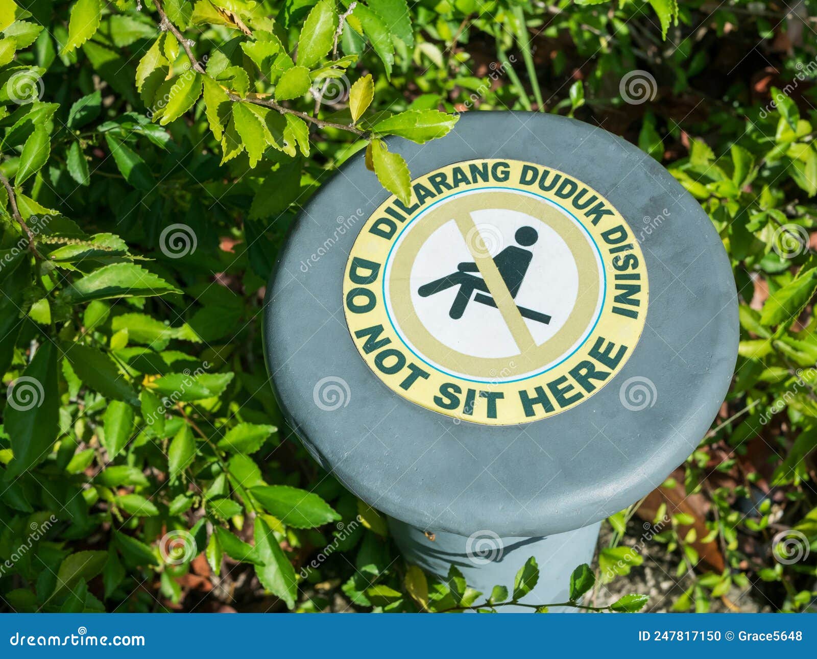 Do Not Sit Here Sign in the Public Park. Stock Photo - Image of circle ...