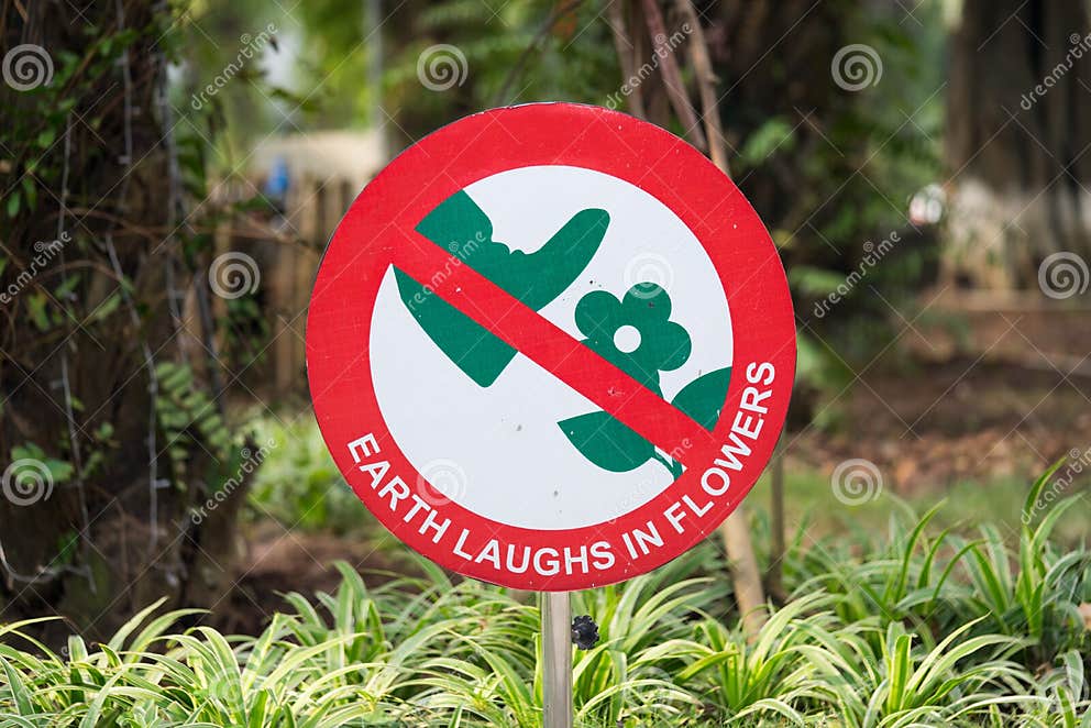 Do not step on flower sign stock photo. Image of away - 65499190