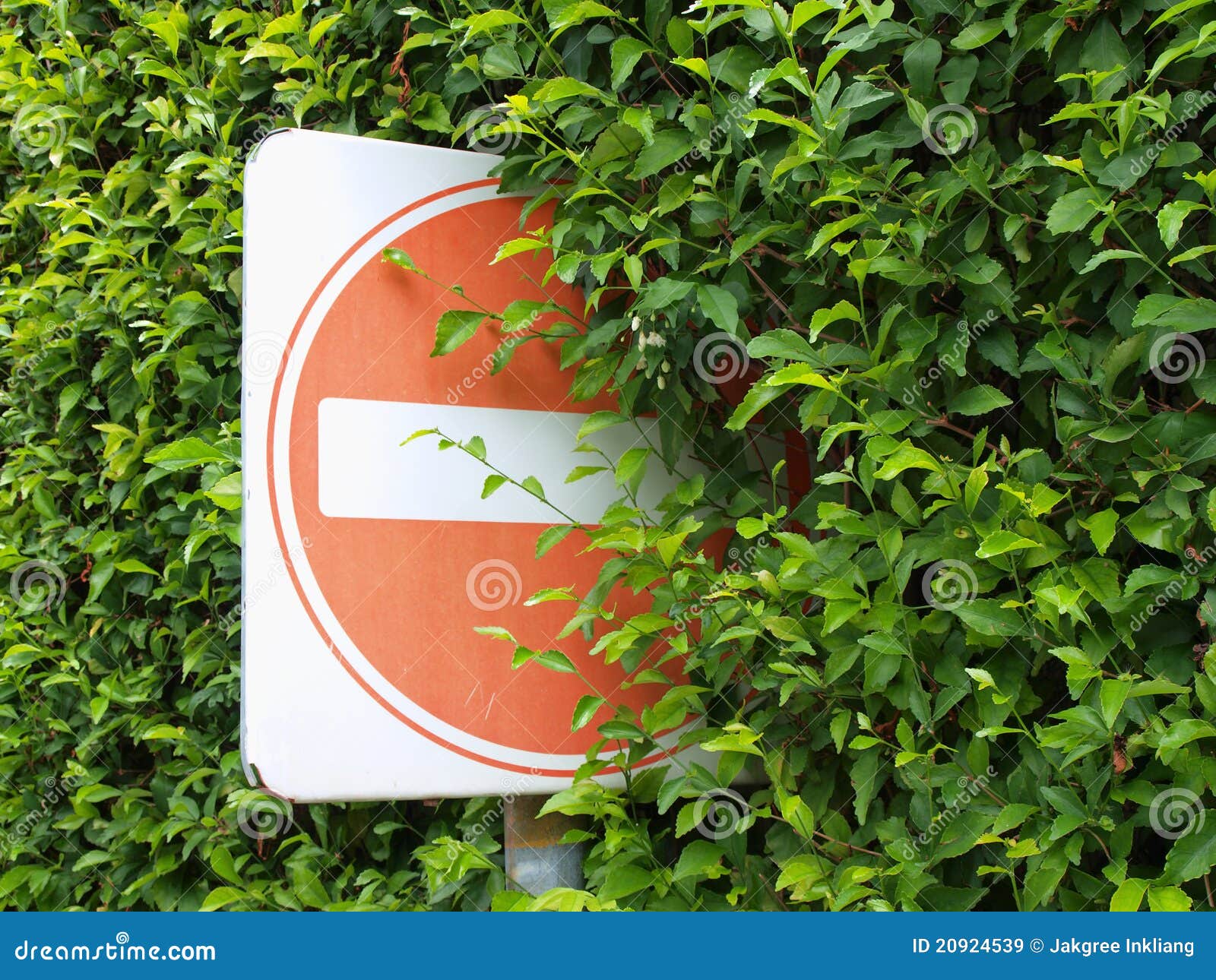 Do not warning sign stock image. Image of sign, warning - 20924539
