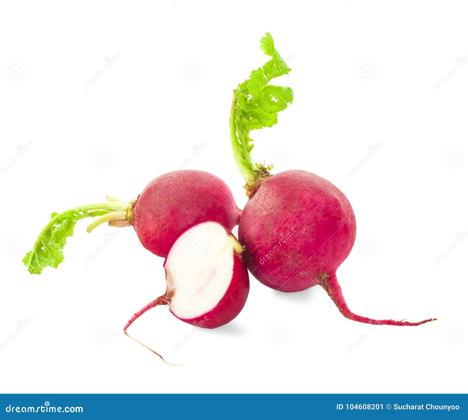 Do Rabanete Isolado No Fundo Branco Imagem de Stock - Imagem de ...