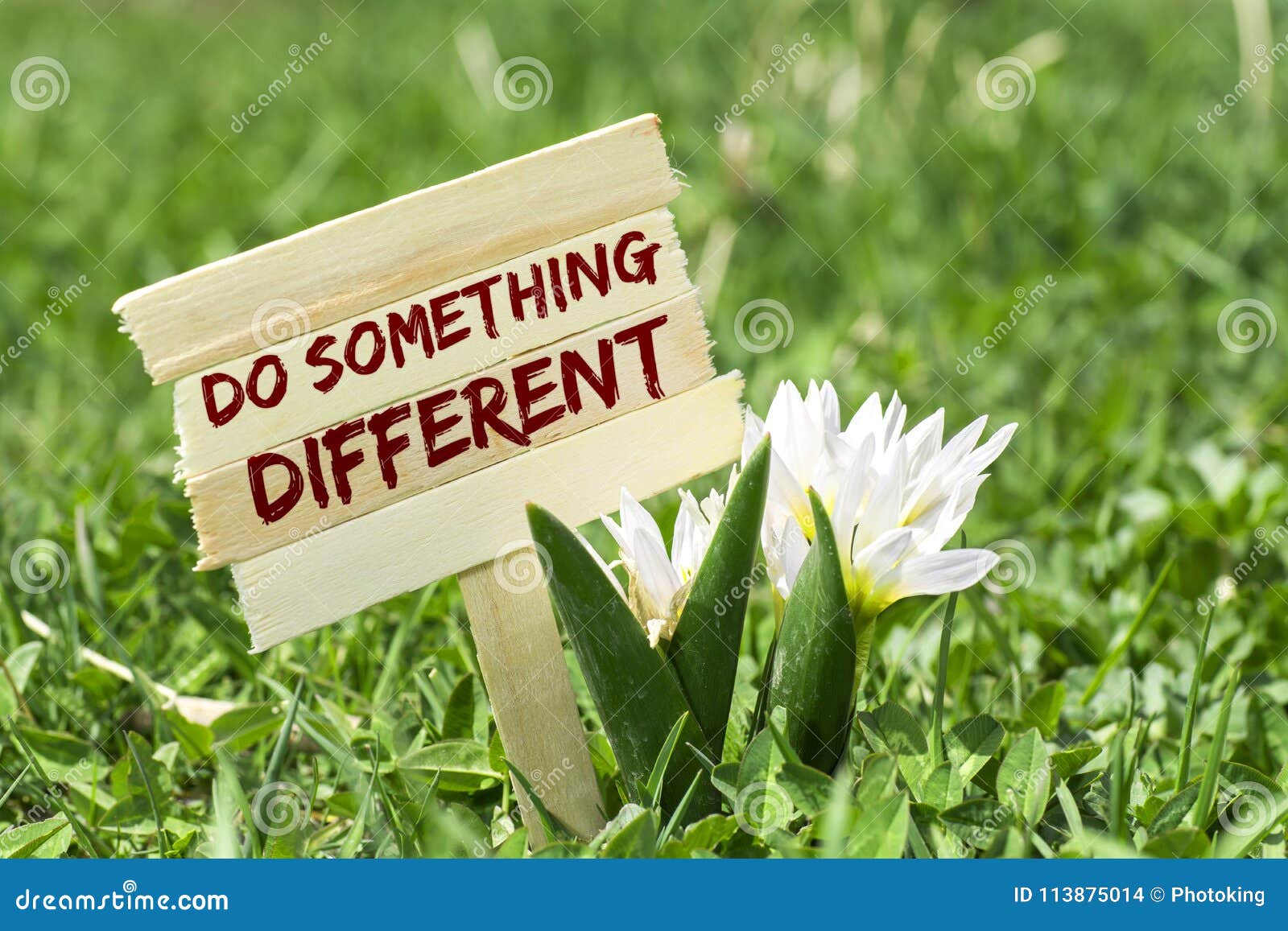 Do something different stock photo. Image of inspiration - 113875014
