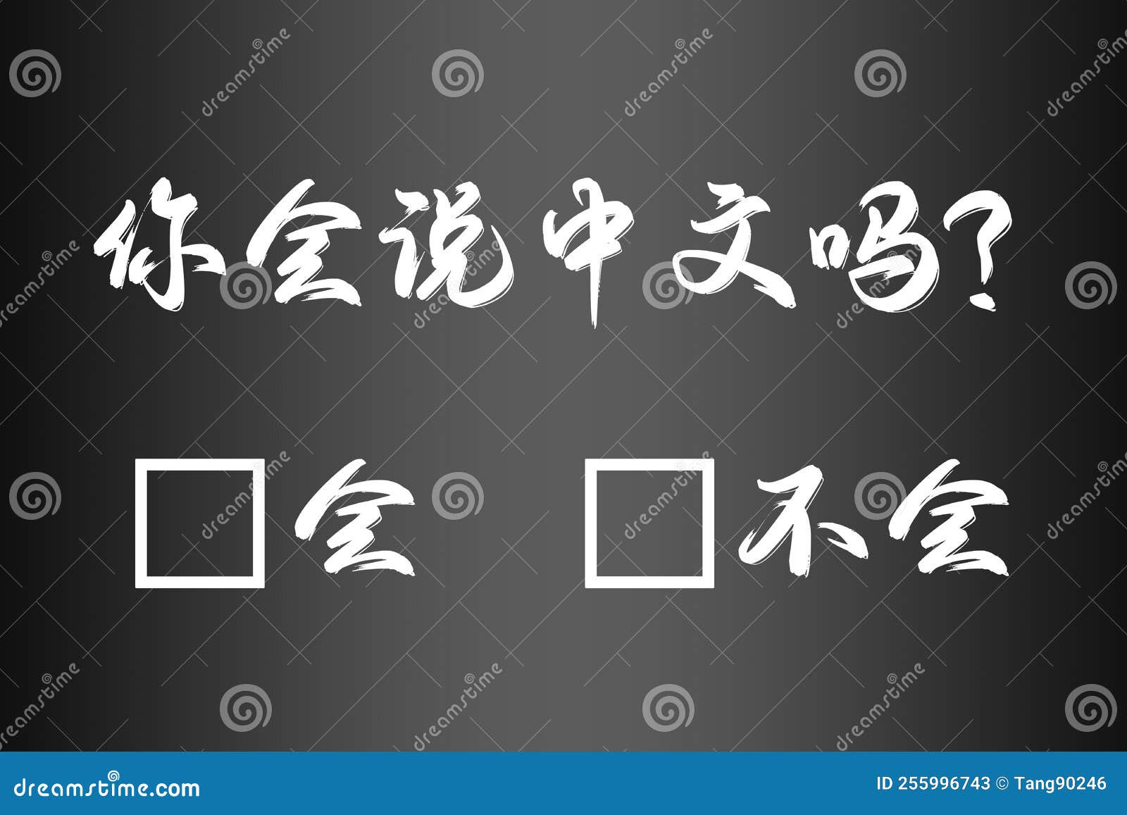 Do You Speak Chinese Word with Yes and No Selection Stock Illustration ...
