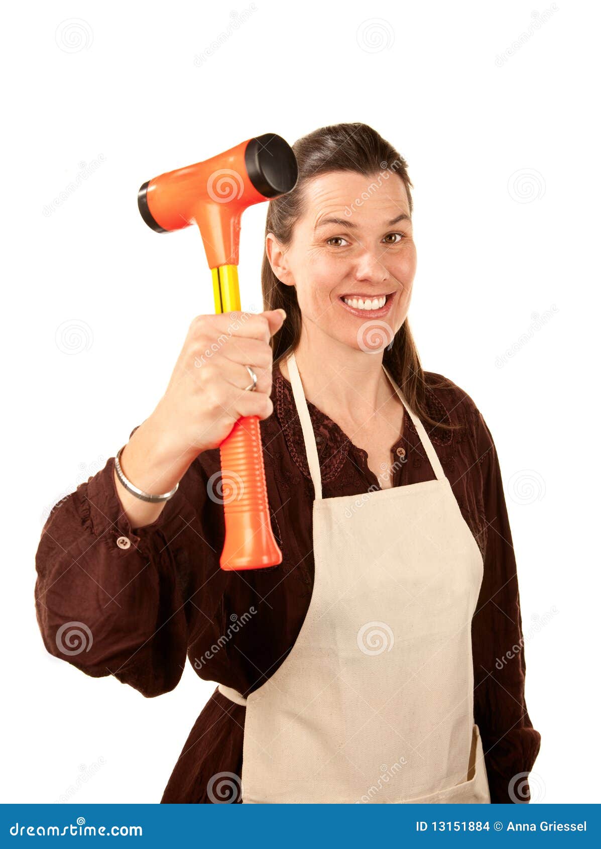 Do-it-Yourself Woman stock photo. Image of capable, strong - 13151884