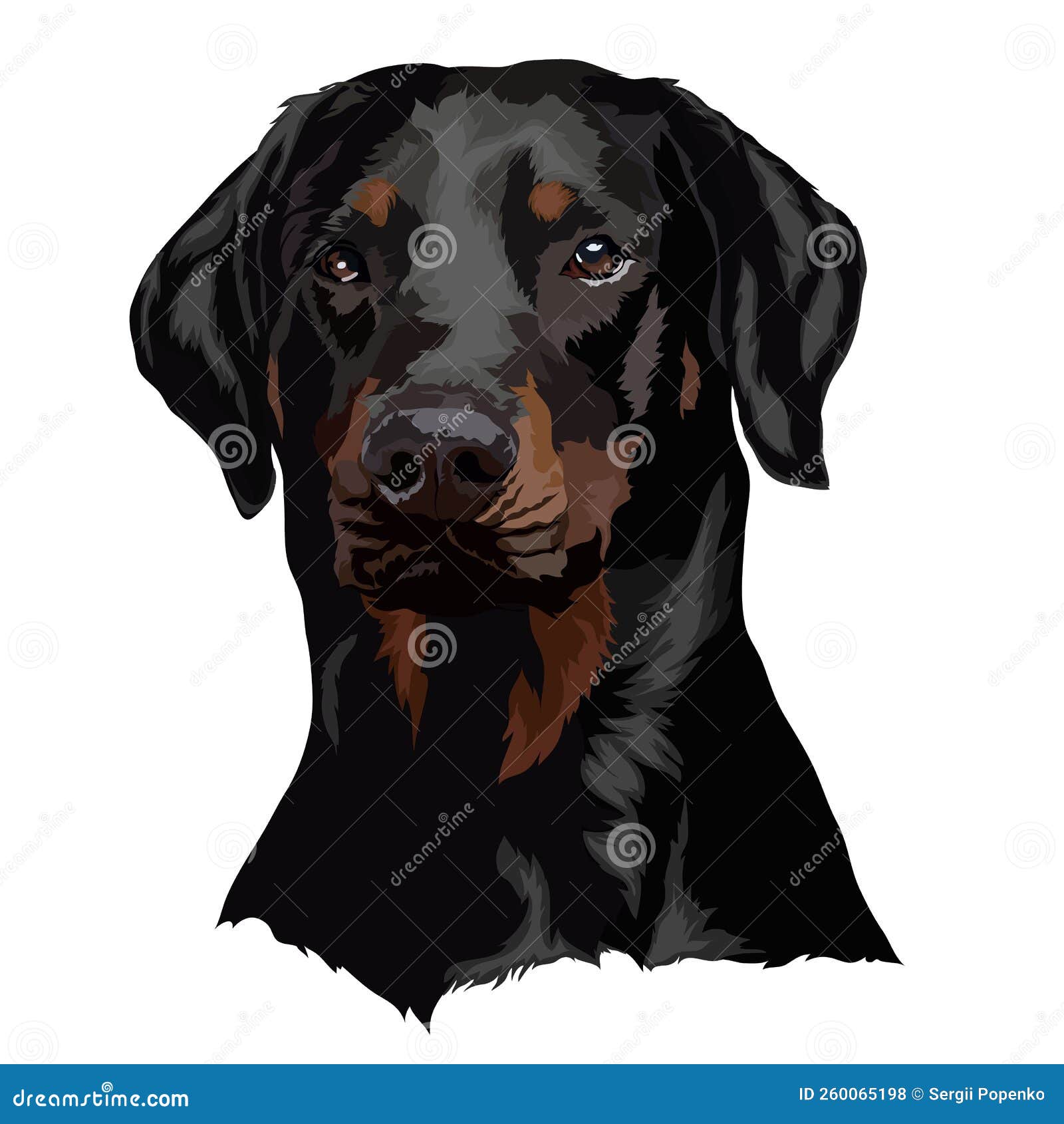 Doberman Dog Portrait. Vector Illustration Stock Vector - Illustration ...