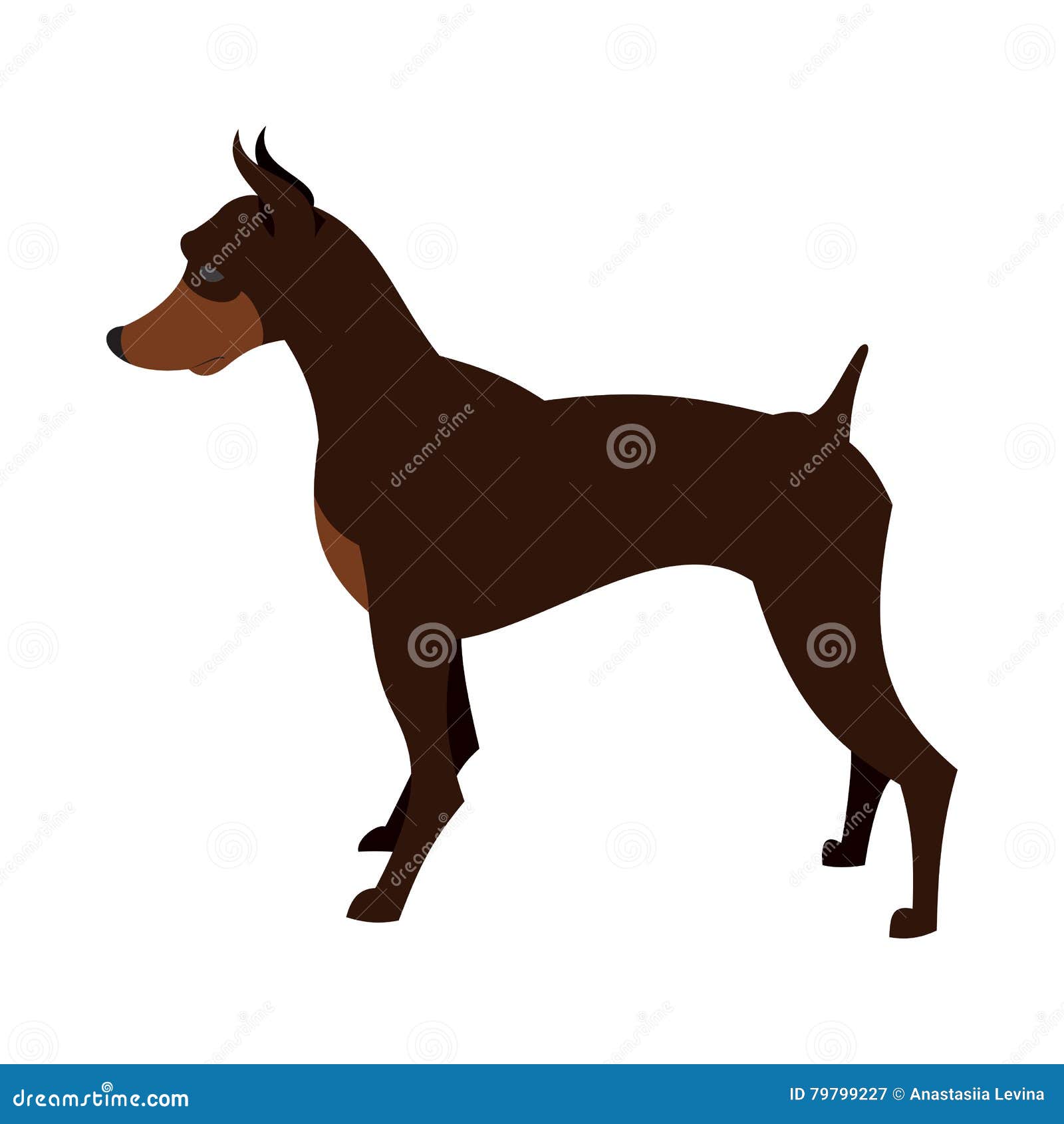Pincher Dog Breed Primitive Cartoon Illustration | CartoonDealer.com ...