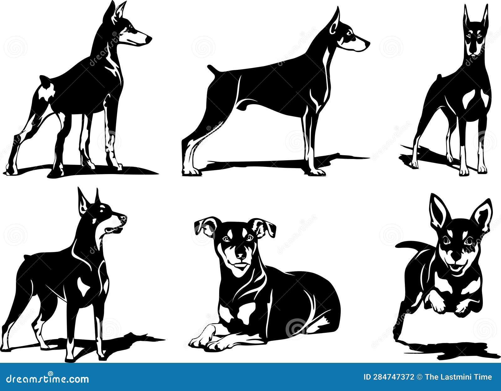 Dobermans Dog Logo Design Vector Stock Vector - Illustration of ...