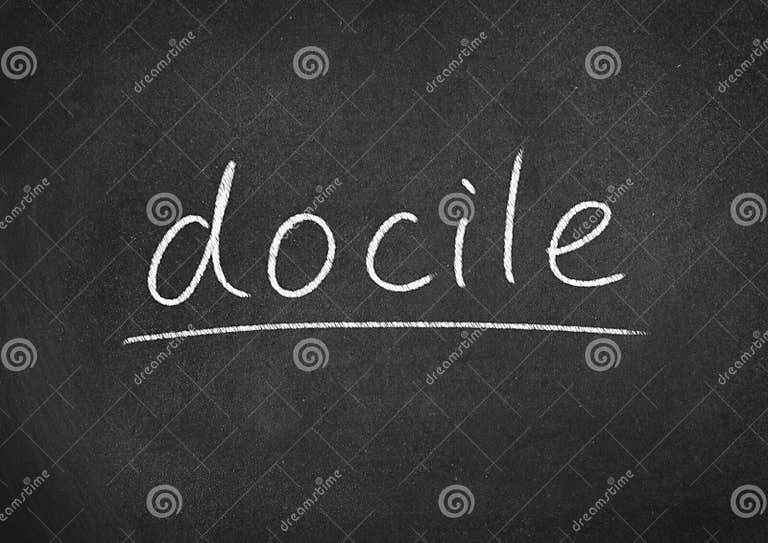 Docile stock image. Image of docile, abstract, background - 164350315