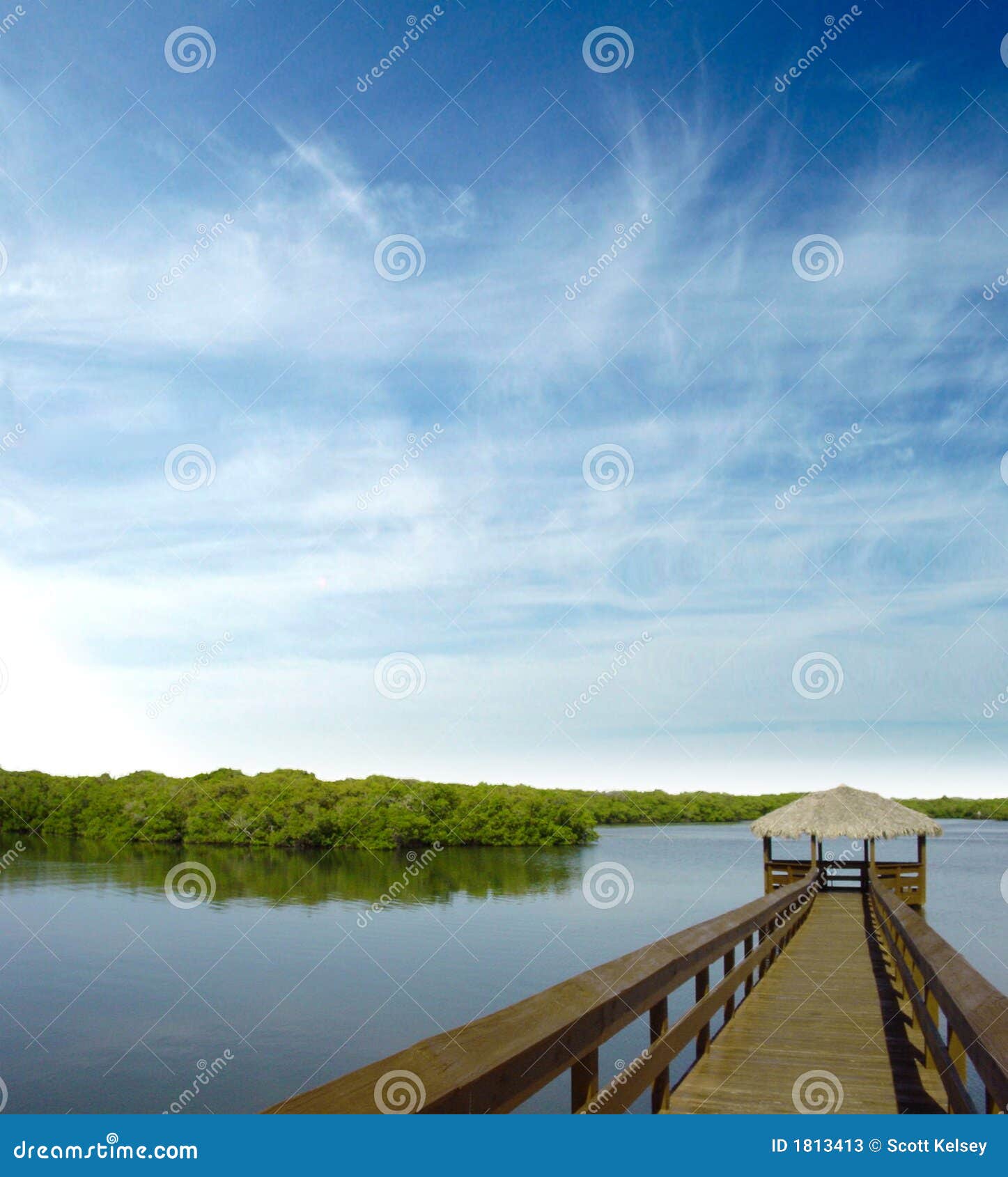 Dock stock image. Image of mangroves, dock, landscape - 1813413