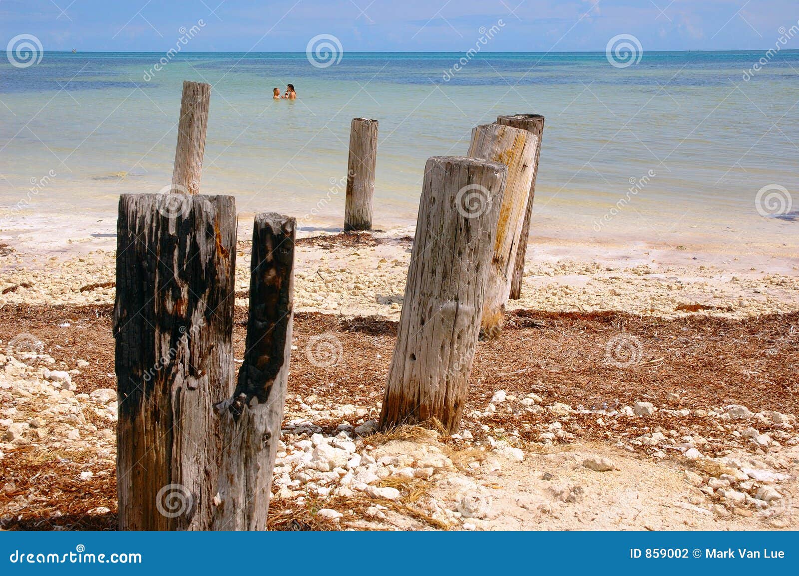 Dock Beach stock photo. Image of shells, ocean, atlantic - 859002