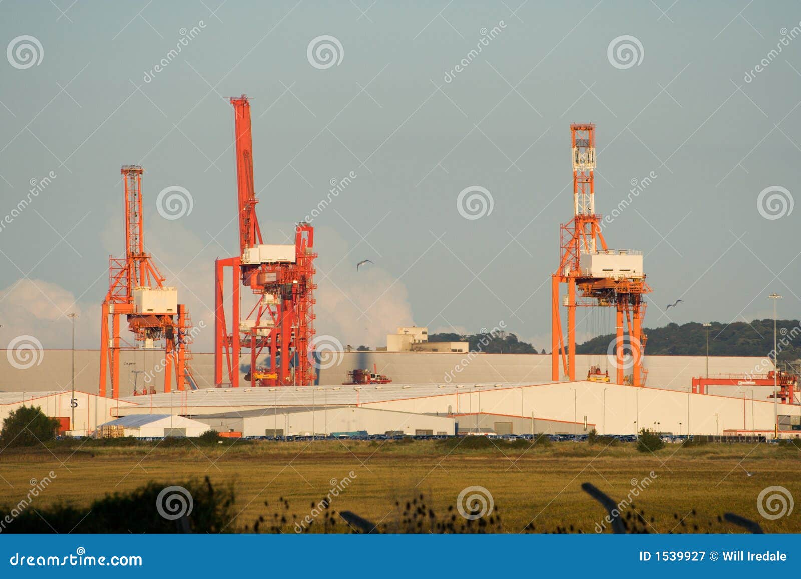 Dock Cranes stock image. Image of crane, shipping, cargo - 1539927