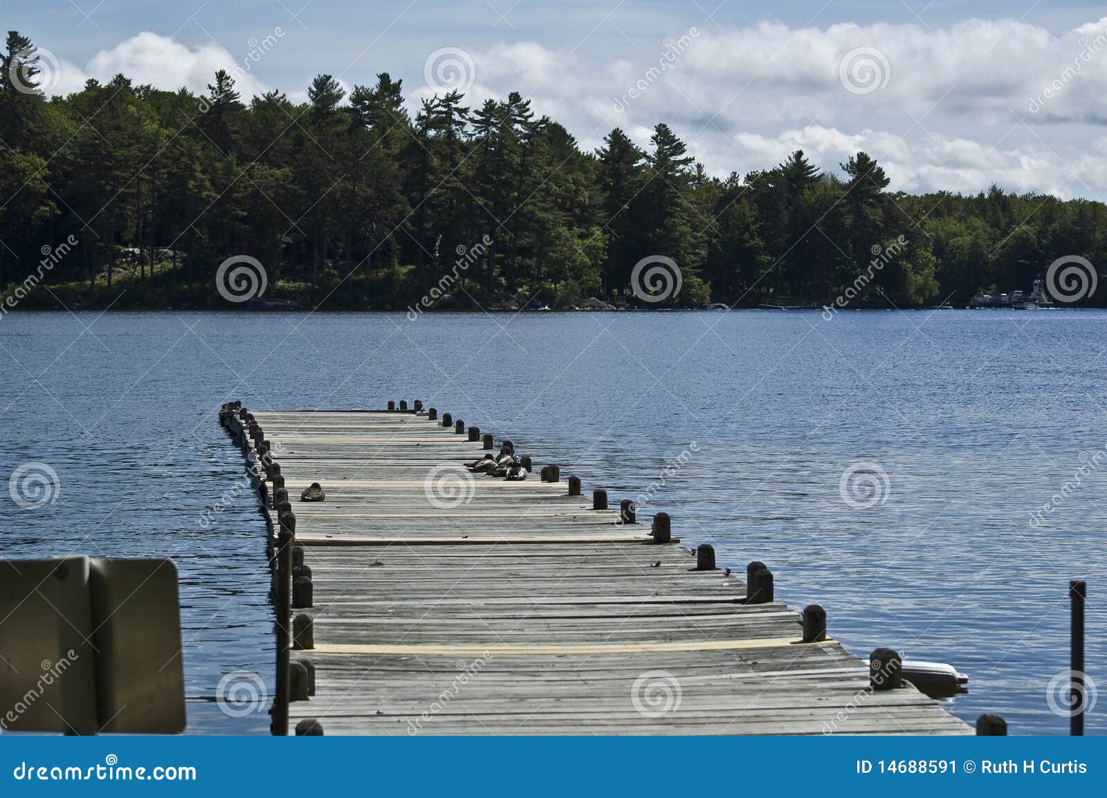 Dock with Ducks stock image. Image of waves, dock, moving - 14688591