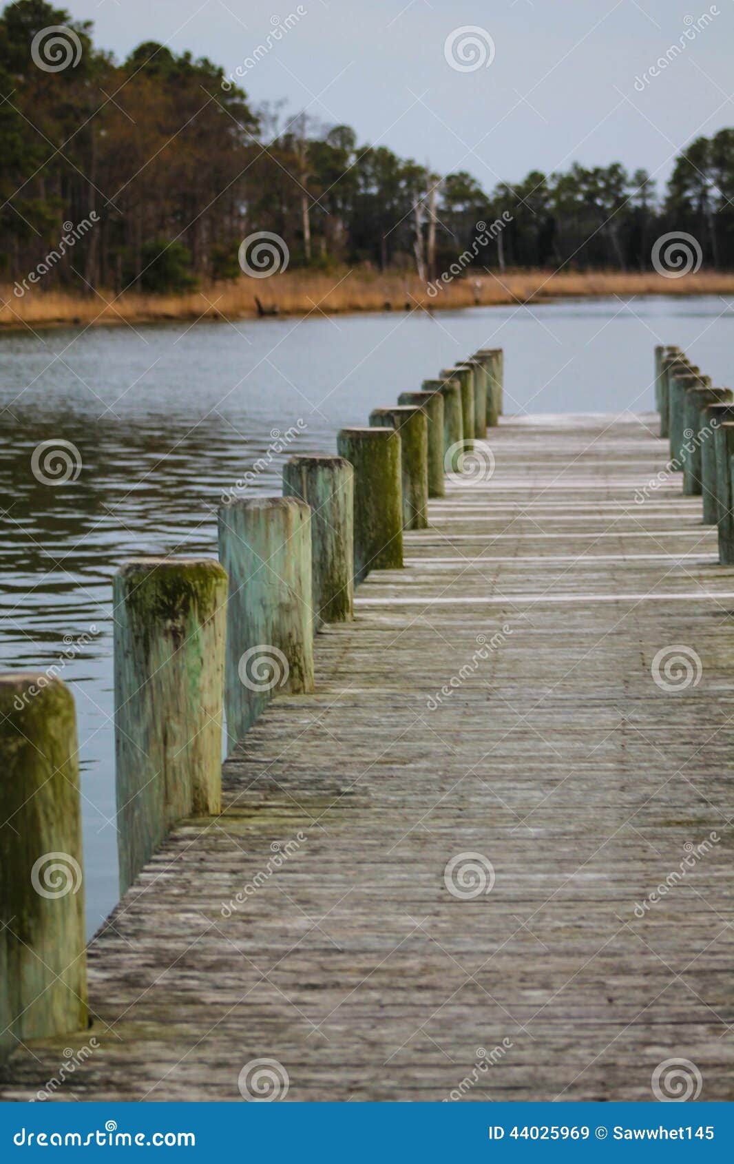 Dock Eastern Neck Stock Photos - Free & Royalty-Free Stock Photos from ...
