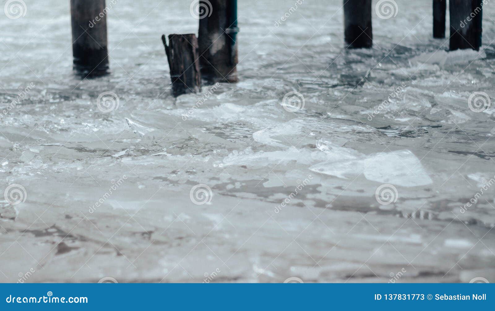 A dock on a frozen lake stock image. Image of iced, gras - 137831773