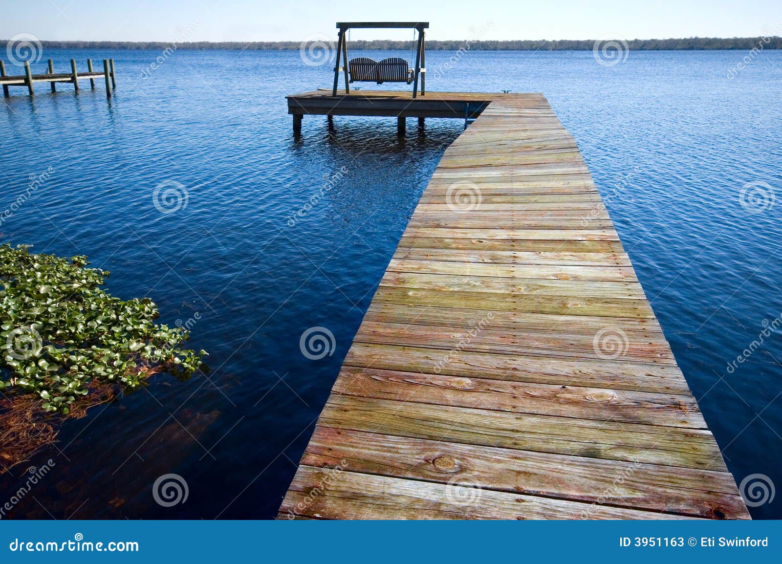 Dock on lake stock image. Image of area, calm, plant, horizontal - 3951163