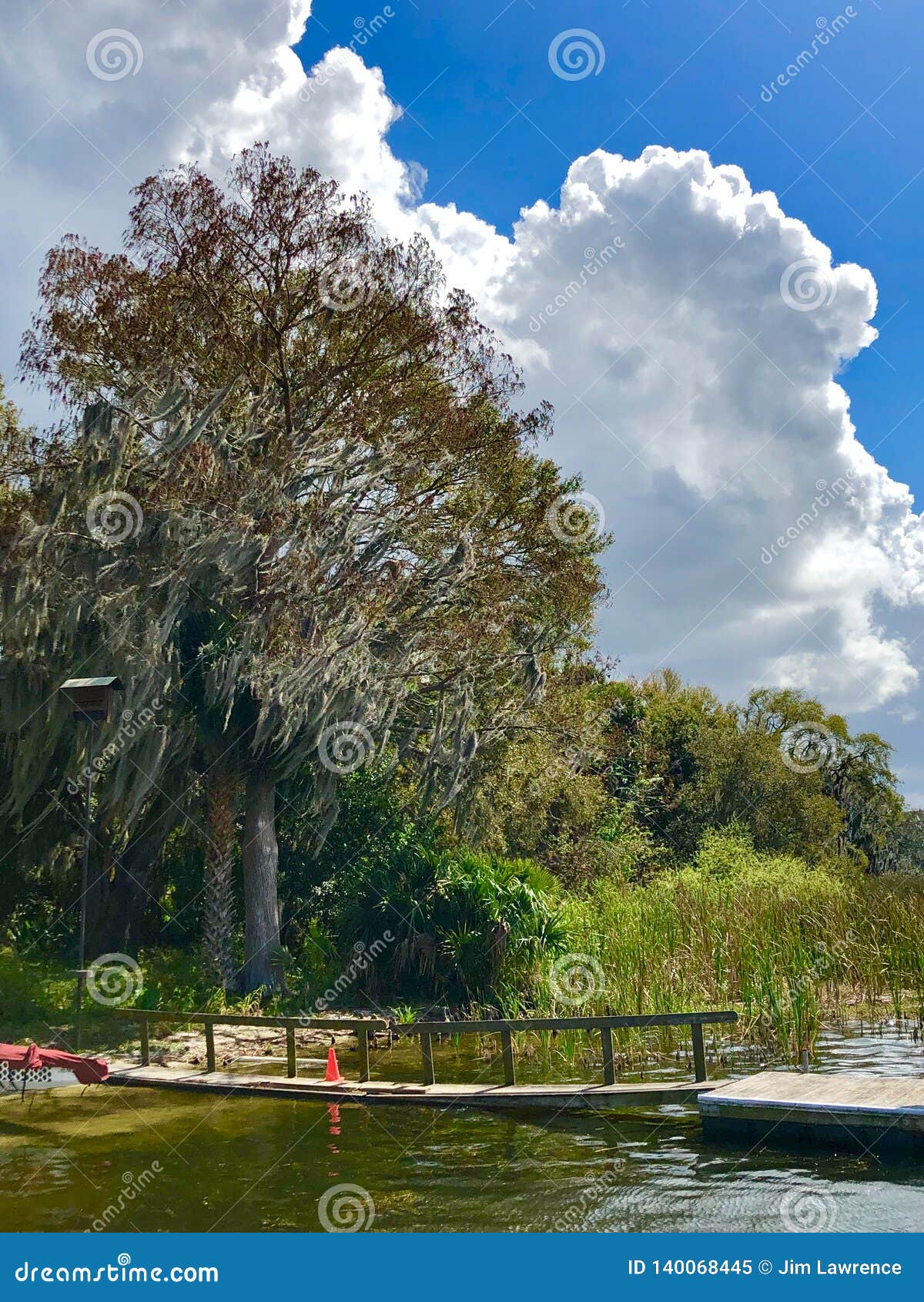 Lakeside at Lake Dora, Mount Dora Stock Image - Image of dora, lake ...