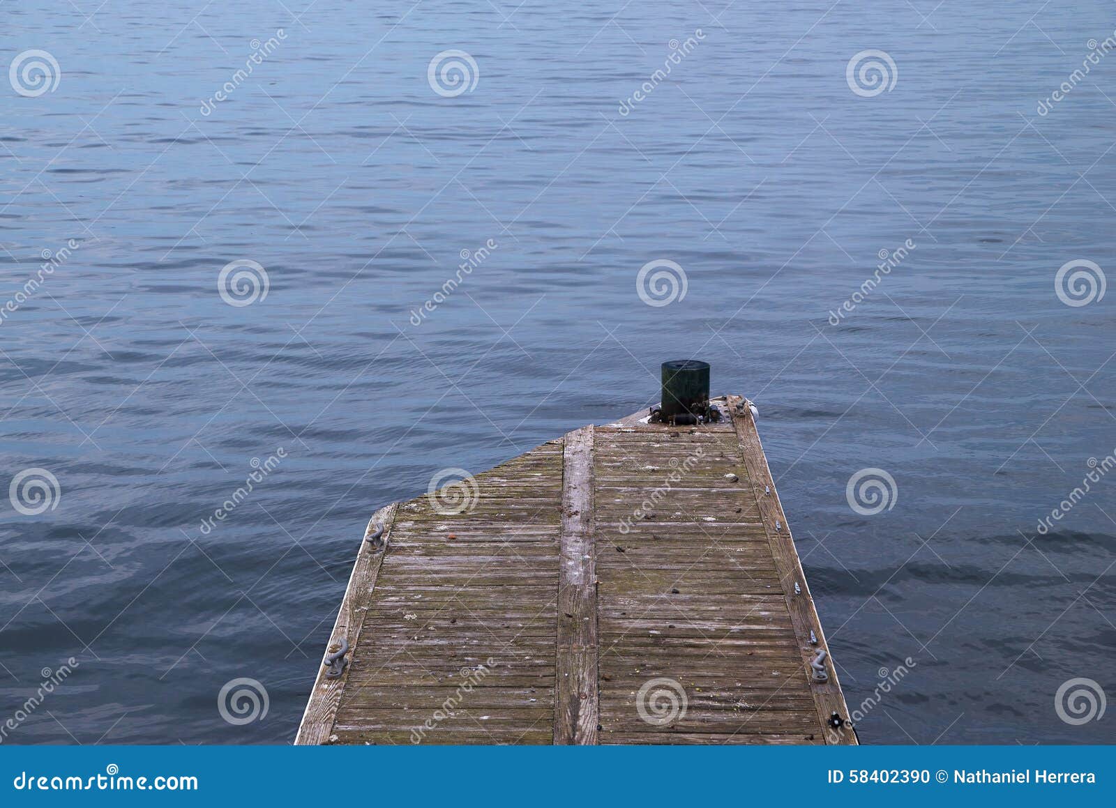 Dock and Ocean stock photo. Image of bird, wooden, planks - 58402390
