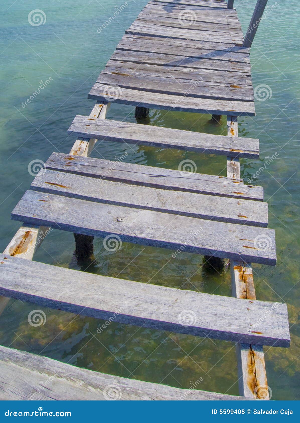 Dock planks stock photo. Image of cancun, calm, caribbean - 5599408