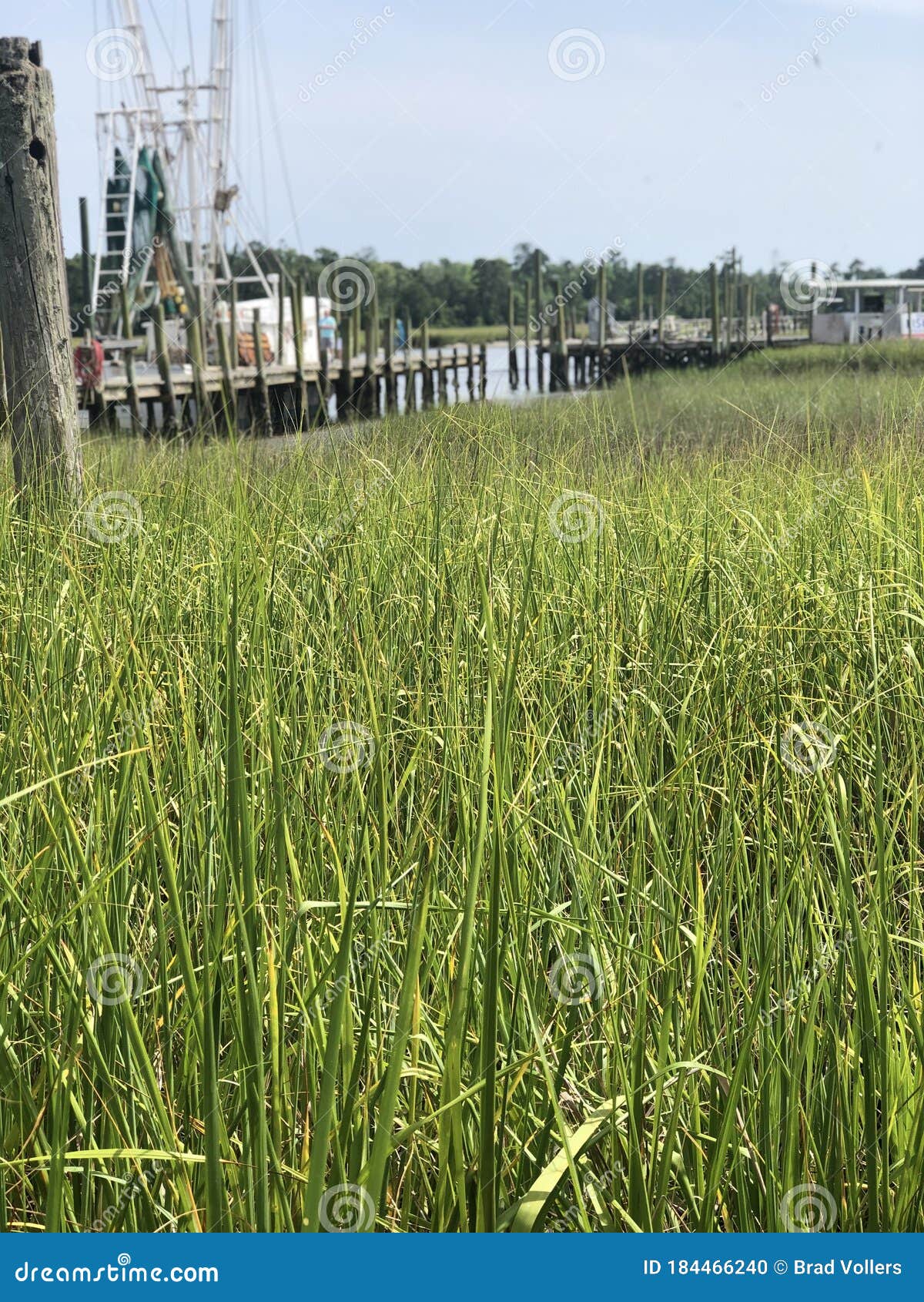Dock side stock photo. Image of ocean, side, brackish - 184466240