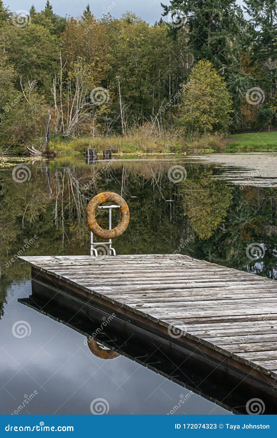 A Dock on a Still Pond with a Flotation Ring Stock Image - Image of ...