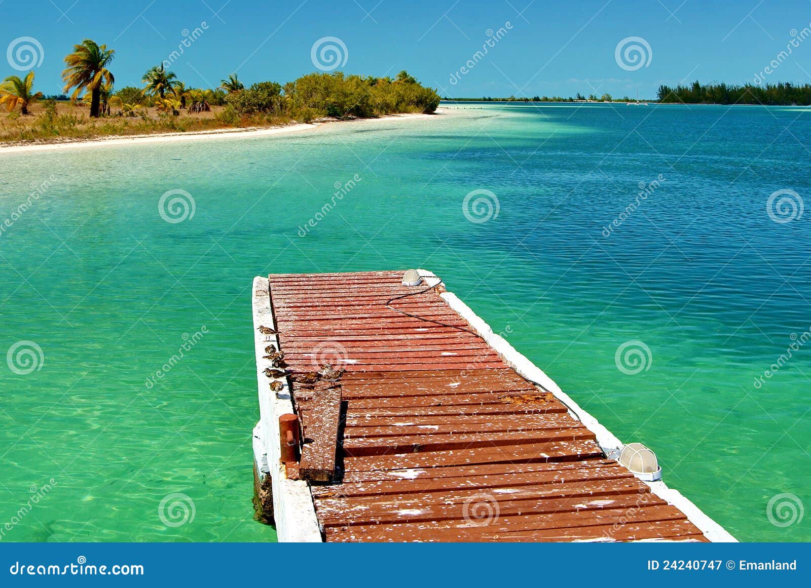 Dock to the ocean stock image. Image of dock, forest - 24240747