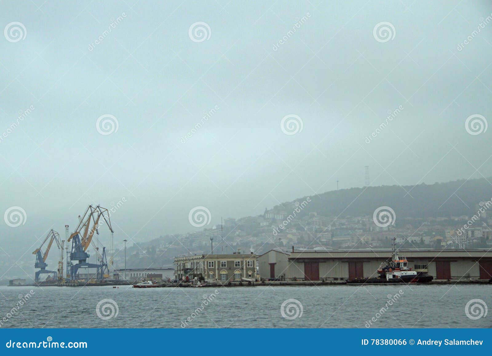 Docks and Cranes at Harbour in Trieste Stock Photo - Image of cargo ...