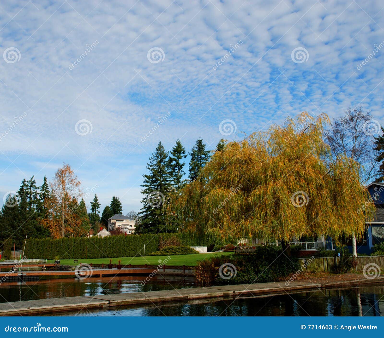 Dockside homes stock image. Image of dock, home, grass - 7214663