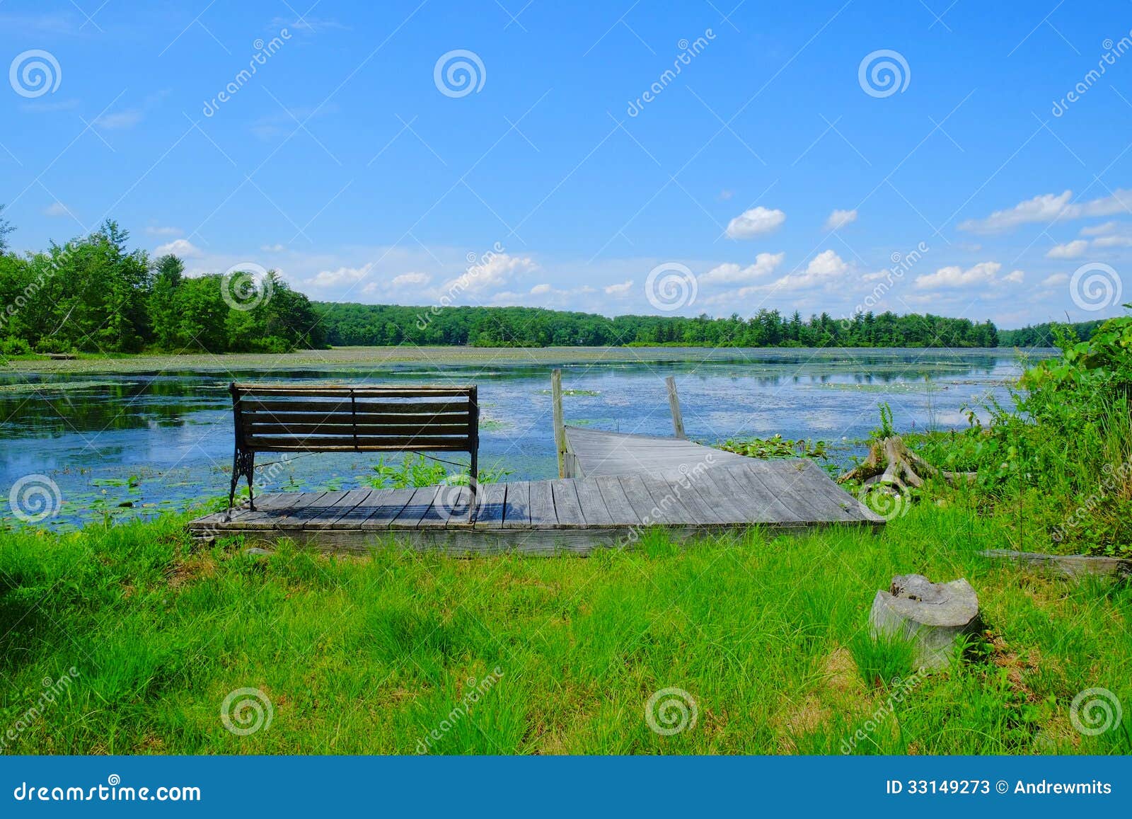 Dockside View of Pecks Pond Stock Image - Image of lake, pocono: 33149273