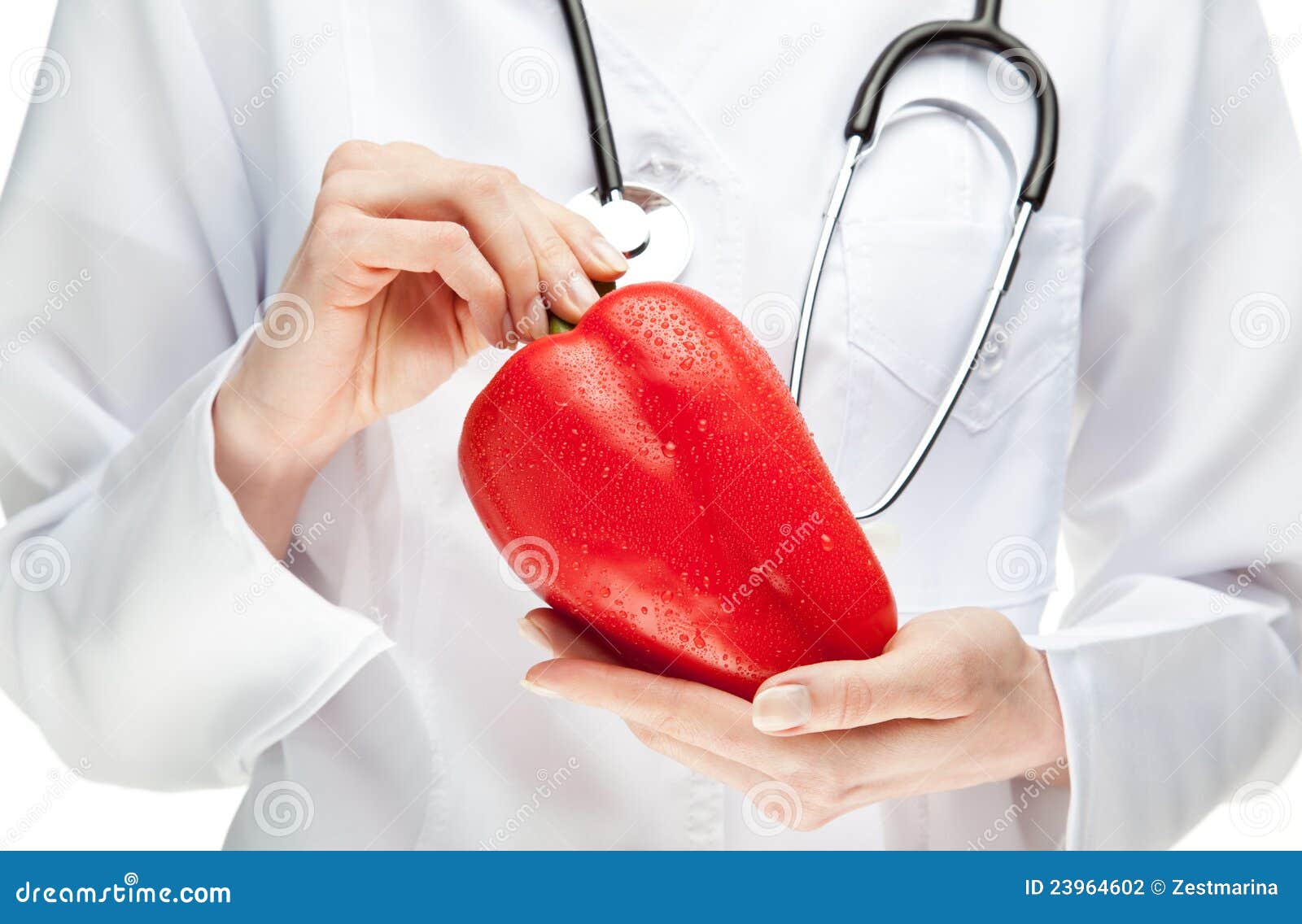 Doctor Advising Healthy Eating Stock Photo - Image of diet, hold: 23964602