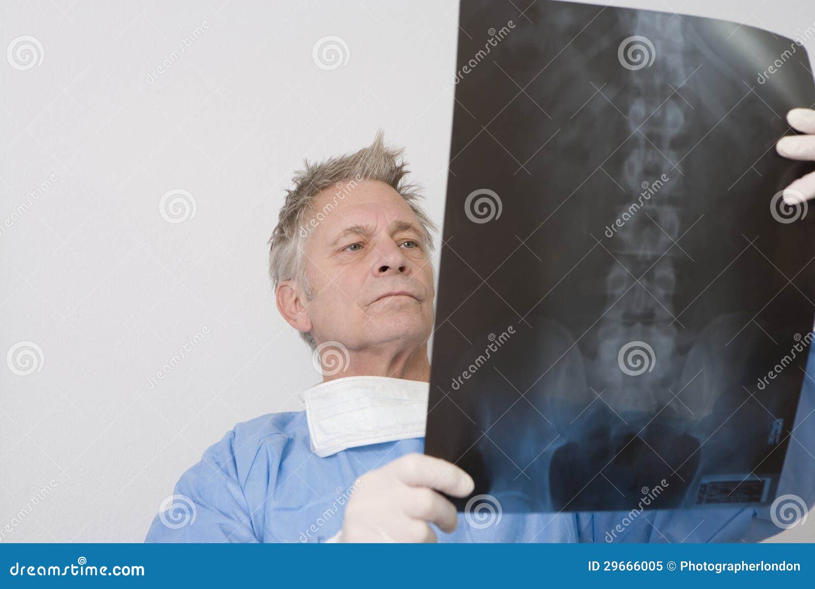 Doctor Analyzing X-Ray Report Stock Image - Image of caucasian ...