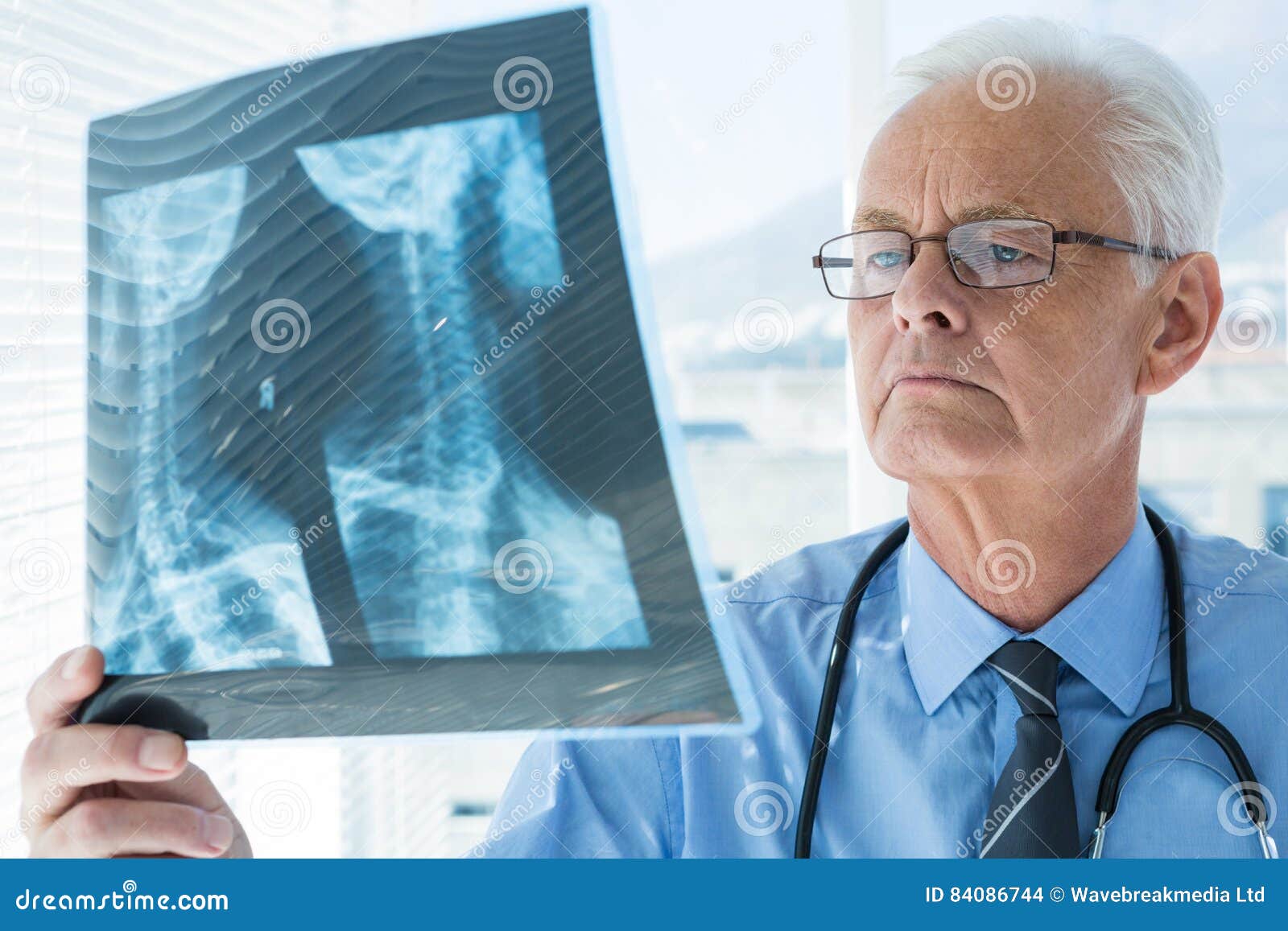 Doctor Analyzing X-ray Report Stock Photo - Image of professional ...
