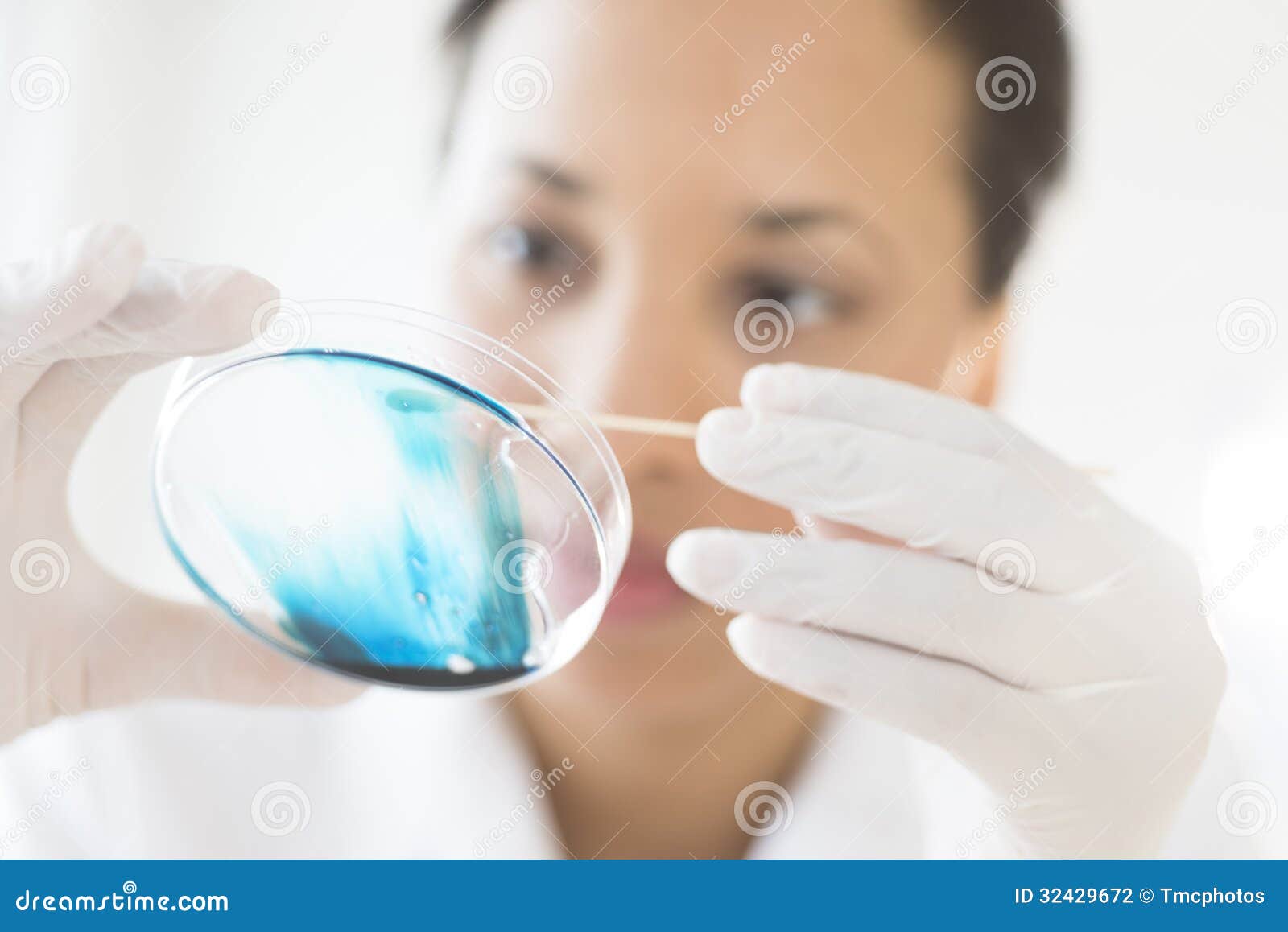 Doctor Analyzing Solution in Petri Dish at Laboratory Stock Photo ...