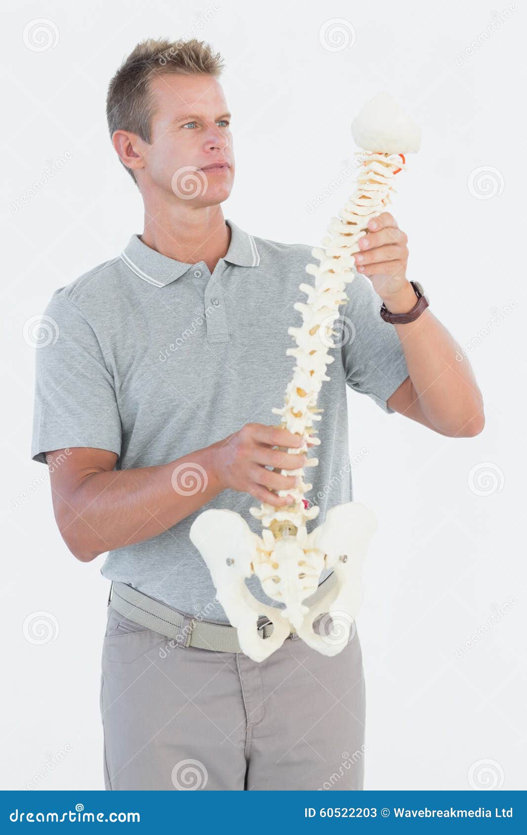 Doctor with Anatomical Spine Stock Image - Image of model, orthopedic ...