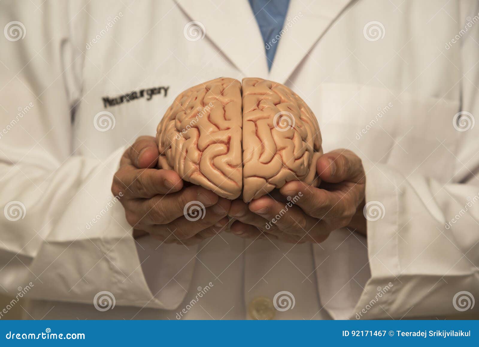 Doctor and brain model stock image. Image of medicine - 92171467
