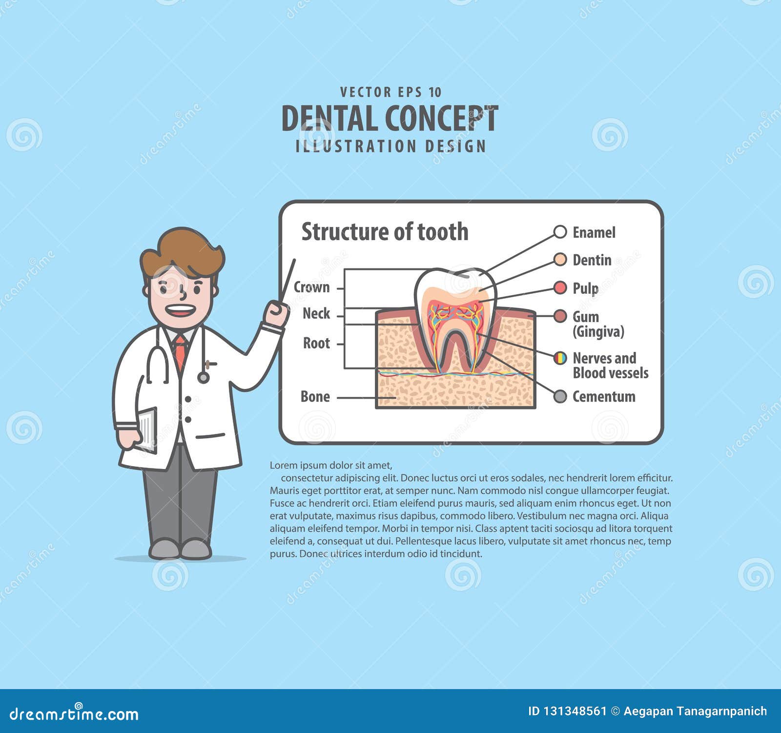 Doctor Characters Lecture about Structure of Tooth Layout Illustration ...