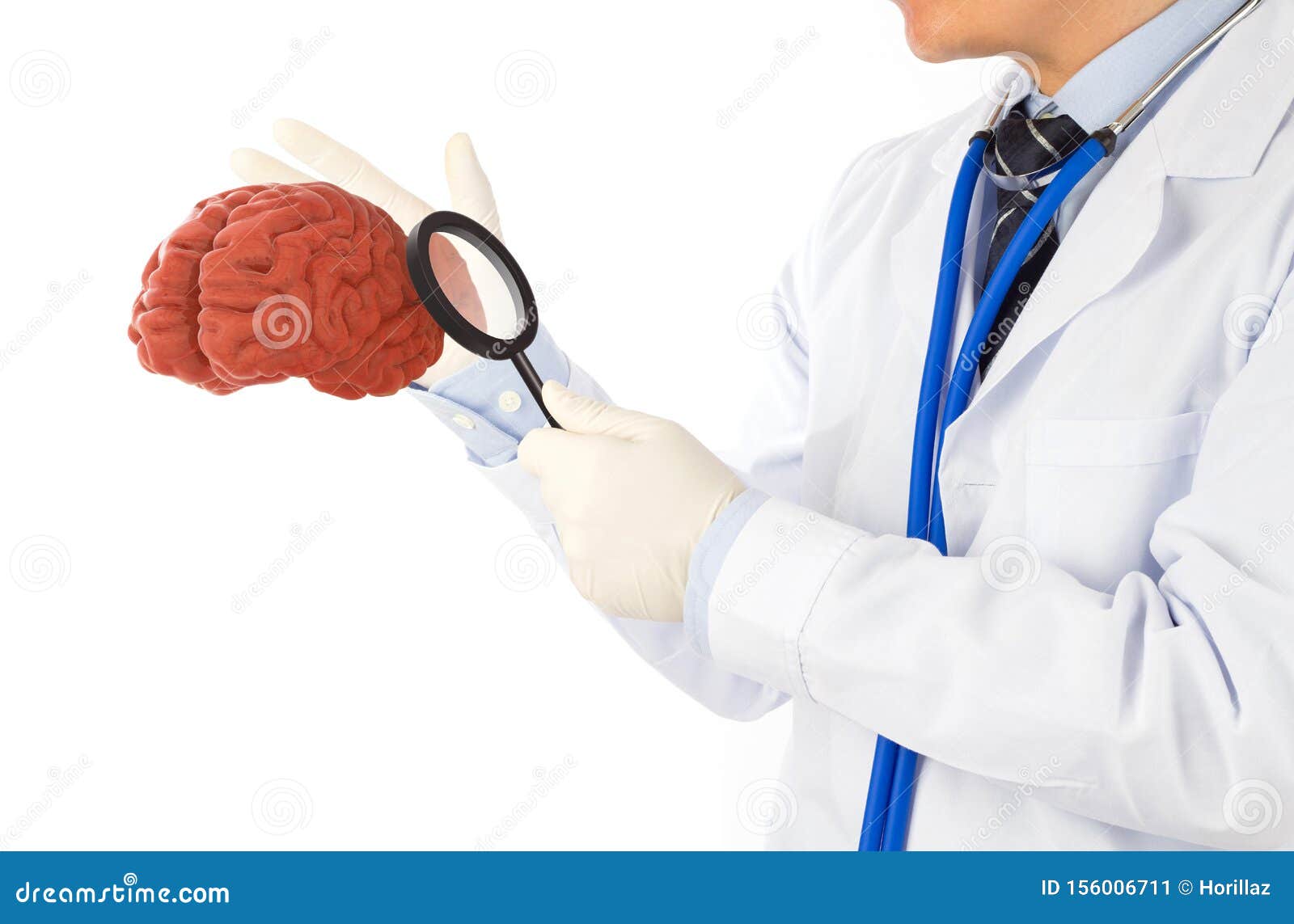 Doctor check brain stock illustration. Illustration of memory - 156006711