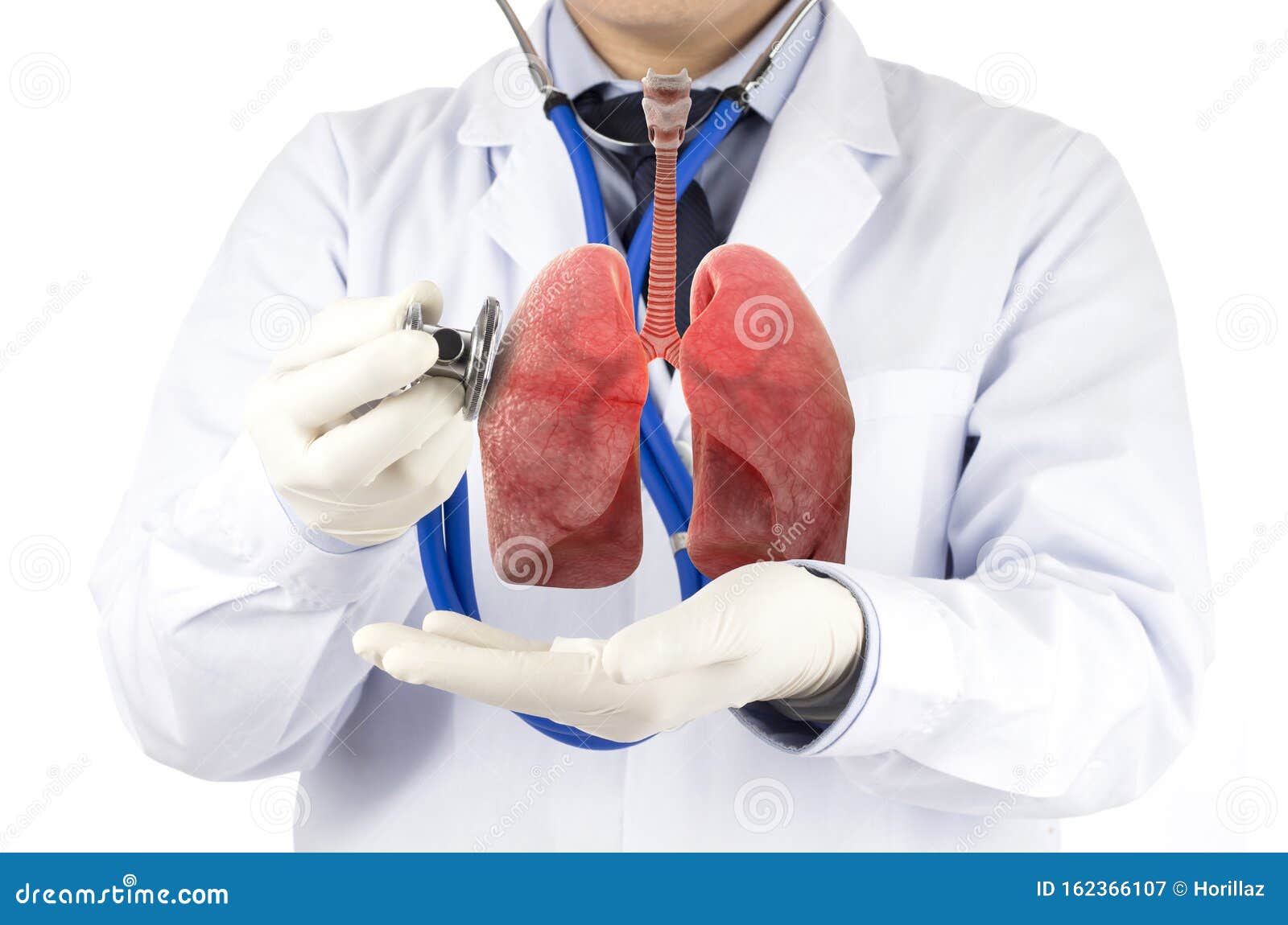Doctor Check Respiratory of Lung Stock Image - Image of lung, lungs ...