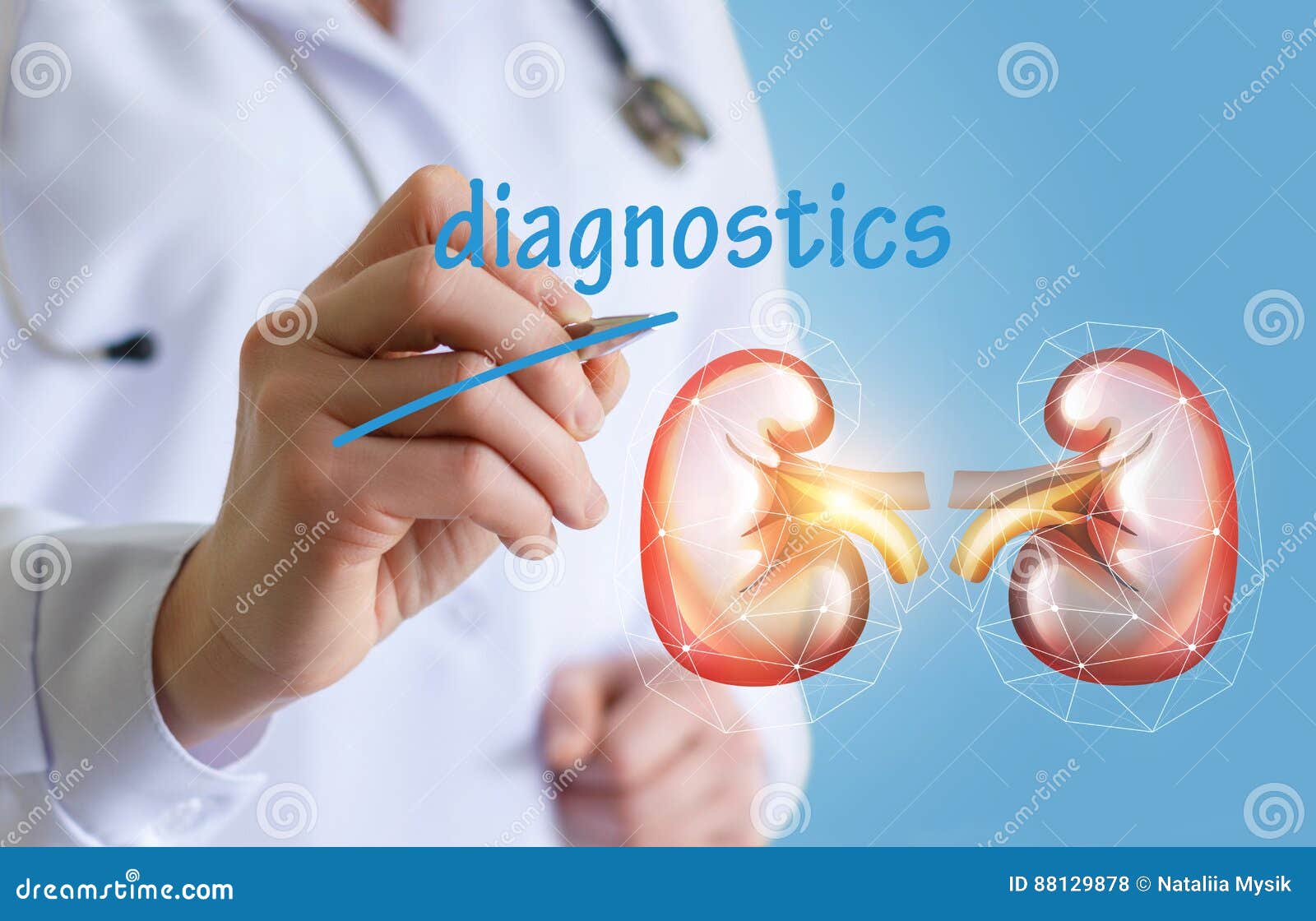 The Doctor Diagnoses Kidney . Stock Photo - Image of clinic, patient ...