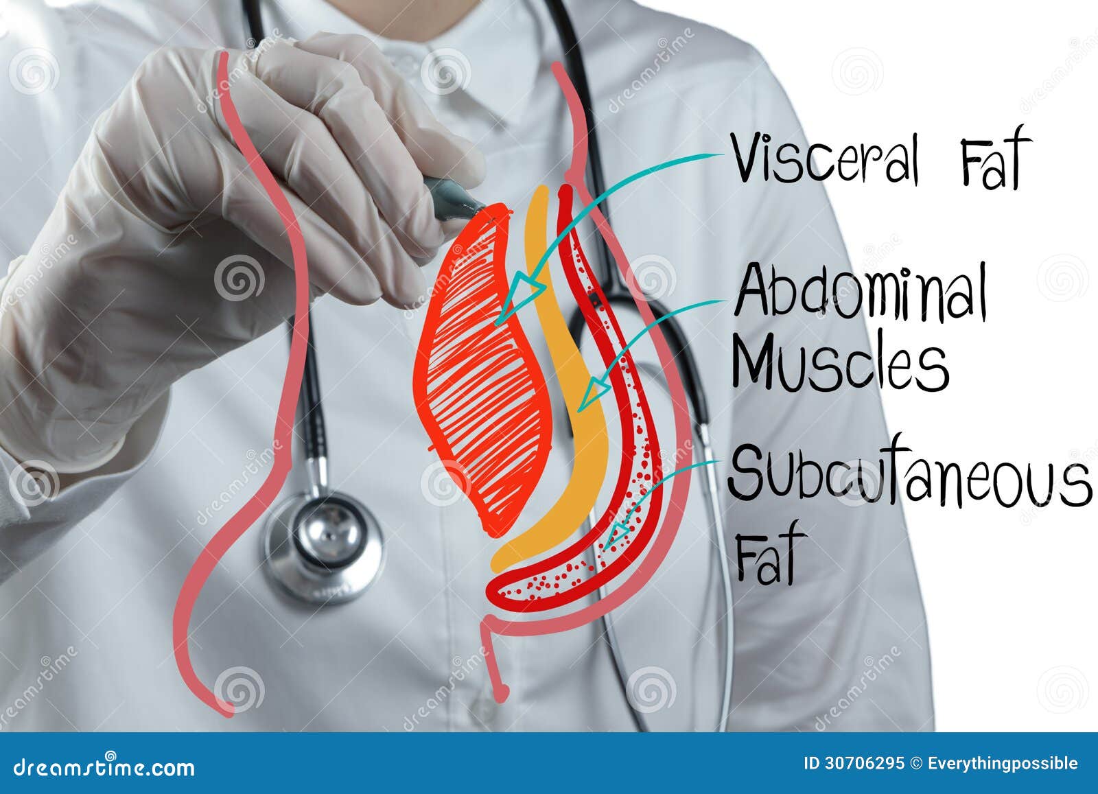 Doctor draws abdominal fat stock image. Image of muscle - 30706295