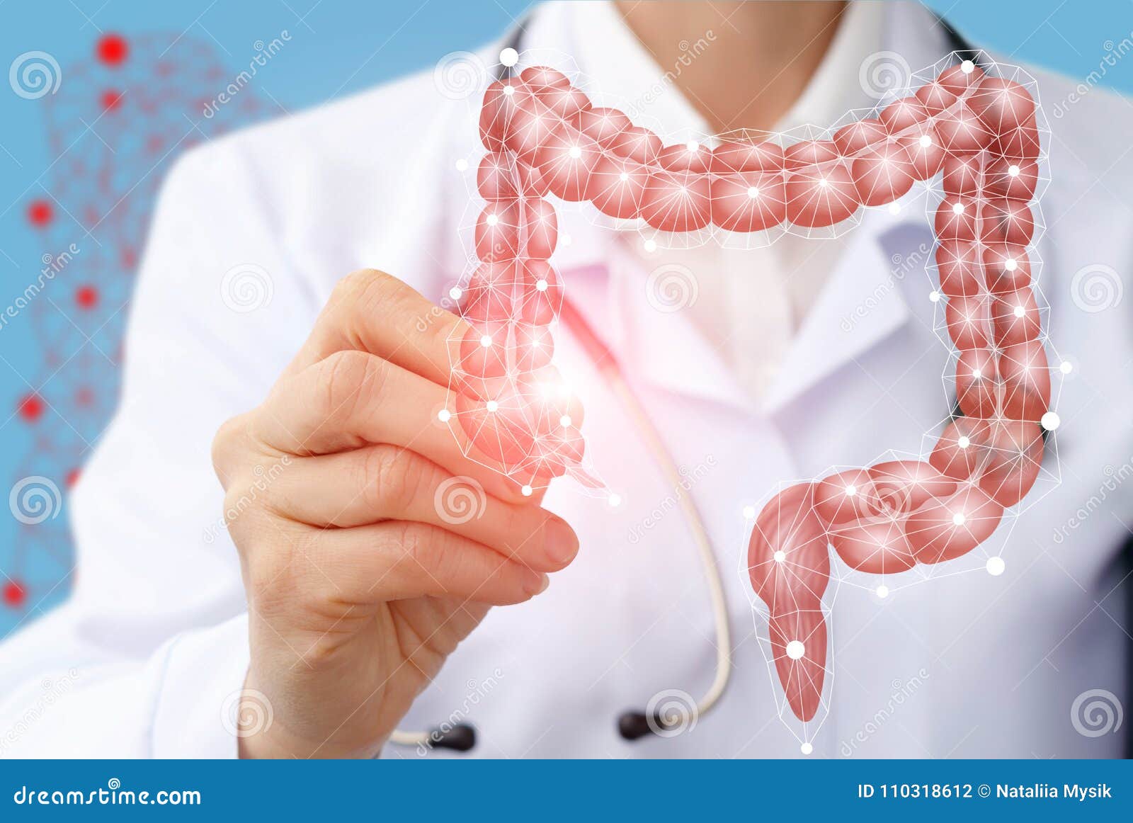 Doctor Draws the Structure of the Colon on a Screen. Stock Photo ...