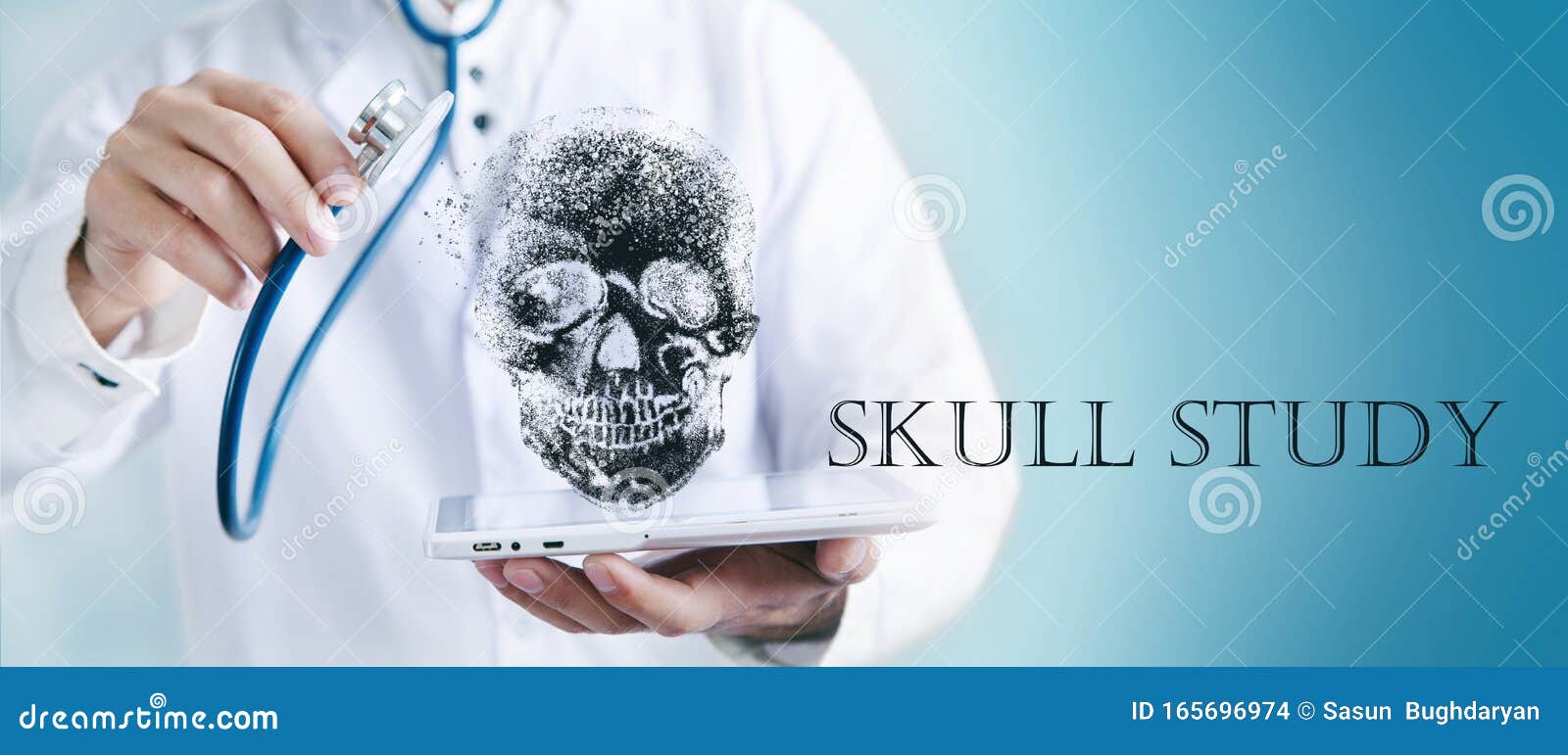 Doctor Examines a Human Skull Stock Photo - Image of radiology ...