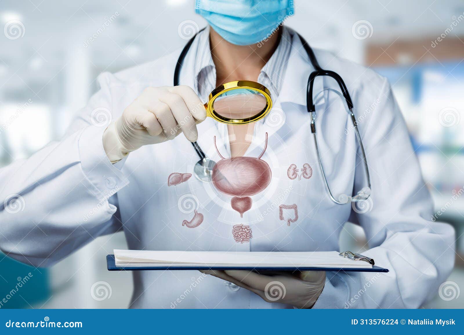 The Doctor Examines the Internal Organs Stock Photo - Image of pain ...